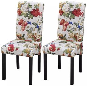 Petromila Jídelní židle 2 ks vícebarevné textil