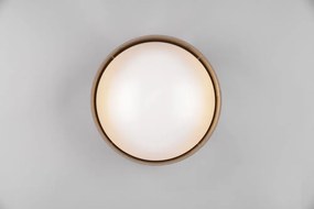 Světle hnědé LED stropní svítidlo ø 30 cm Locarno – Reality
