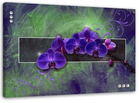 Obraz na plátně Orchidej Květina Přírodní fialová - 100x70 cm