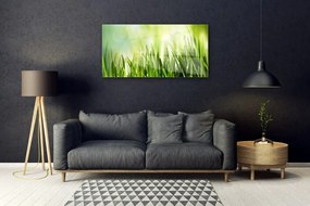 Obraz na skle Tráva Příroda 100x50 cm
