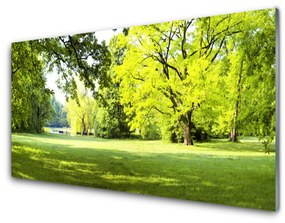 Plexisklo-obraz Tráva Stromy Park Příroda 140x70 cm