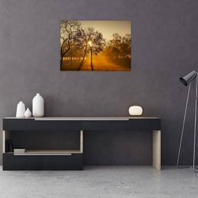 Skleněný obraz - Východ slunce (70x50 cm)
