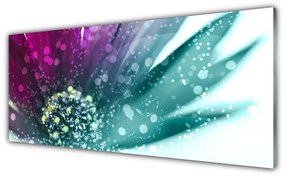 akrylový obraz Květ Rostlina Příroda Umění 125x50 cm