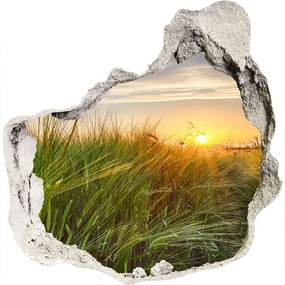 Wallmuralia Nálepka fototapeta 3D výhled Pole pšenice 75x75 cm