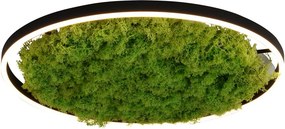 GREEN RITUS LED stropní svítidlo, 3650 lm, 28 W