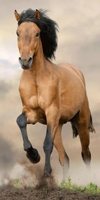 Jerry Fabrics Osuška HORSE BROWN, kůň hnědý, froté, 70x140cm