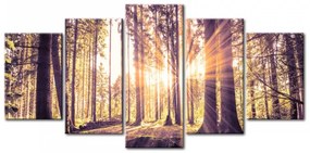 Atypický obraz lesní svět + háčky a hřebíčky ZDARMA Velikost (šířka x výška): 200x100 cm