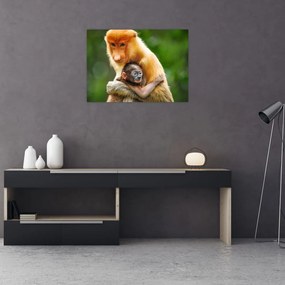 Skleněný obraz opic (70x50 cm)