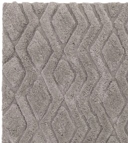 Tribeca Design Kusový koberec Artas Silver Rozměry: 160x230 cm