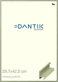 DANTIK rámeček 29,7x42 | ALU profil 6030 Dýha barevná zelená pastel (Plexi Čiré)