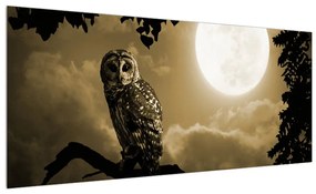 Obraz noční sovy (100x40 cm)