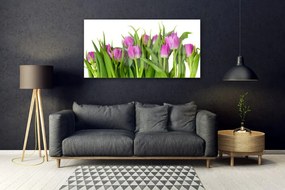 akrylový obraz Tulipány Květiny Rostlina 120x60 cm