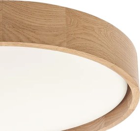 Brilagi - LED Stropní svítidlo MANAROLA PLAIN LED/24W/230V 3000K pr. 41 cm dub