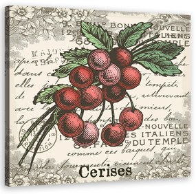 Obraz na plátně, Vintage Cherry - 50x50 cm
