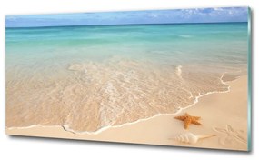 Wallmuralia Fotoobraz na skle Hvězdice na pláži 100x50