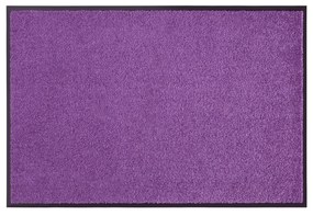 Hanse Home Collection koberce Rohožka Wash & Clean 103838 Violett ROZMĚR: 60x180