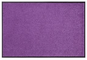 Hanse Home Collection koberce Rohožka Wash & Clean 103838 Violett ROZMĚR: 40x60