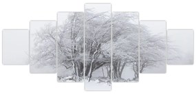 Obraz - Bílá zima (210x100 cm)