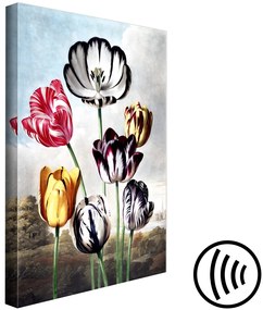 Obraz Zázraky přírody - jarní krajina s barevnými tulipány