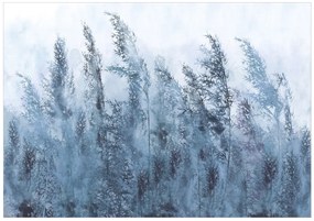 Fototapeta - Tall Grasses - Grey