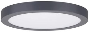 Paulmann 70988 - LED/22W Stropní svítidlo ABIA 230V antracit