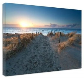 Obraz na plátně Západ slunce s mořskou palmou - 120x80 cm