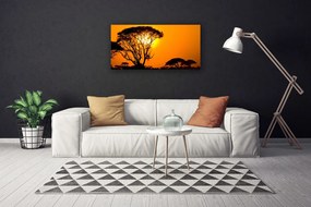 Obraz na plátně Strom Slunce Příroda 100x50 cm