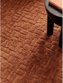 Koberec v terakotové barvě 200x290 cm – Asiatic Carpets