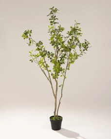 Strom Livo v květináči 180 cm