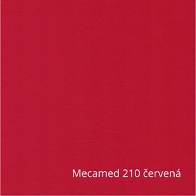 SEGO CZ Zdravotní židle SEGO Stand N koženka Barva: 700 Tmavě zelená