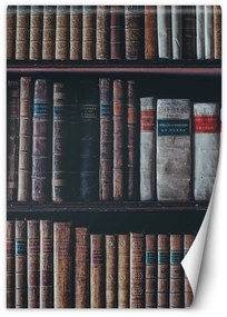 Fototapeta, Regál s knihami - 150x210 cm