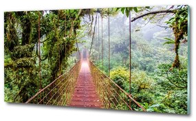 Wallmuralia Fotoobraz na skle Most v pralese 100x50