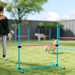 PawHut Agility set pro psy 4dílné výškově nastavitelné agility vybavení se 4 překážkami Přepravní taška 99 x 65 x 94 cm Světle modrá barva