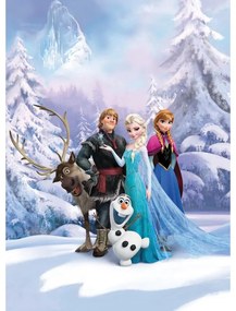 FOTOTAPETA FROZEN WINTER LAND 4-498