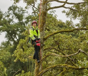 Akumulátorová řetězová pila CRAMER 82TCS15 (Dodáváno bez baterie a nabíječky)