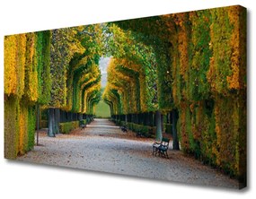 Obraz na plátně Park Podzim Zahrada Příroda 100x50 cm
