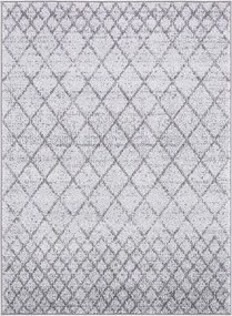 Kusový koberec Agnella Avanti Nana šedý Rozměr: 240x330 cm