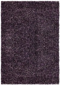 Hans Home | Kusový koberec Enjoy 4500 lila - 160x230