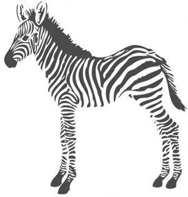 Vliesová obrazová tapeta - zebra 357217, 150x279cm, Precious, Origin