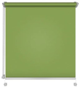 Gario Roleta Nástěnná Standard Hladká Jarní zelená Výška: 150 cm, Šířka: 137 cm