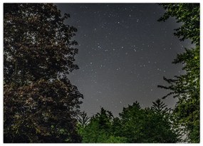 Skleněný obraz noční oblohy (70x50 cm)