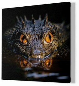 Obraz na plátně - Krokodýl skrytý ve vodě, Králové divočiny FeelHappy.cz Velikost obrazu: 100 x 100 cm