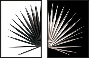 Obraz Plakáty V Rámu 53x73cm Diptych Sada 2 obrazů List Black White P974
