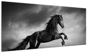Obraz koně na stěnu (100x40cm)