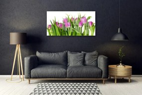 akrylový obraz Tulipány Květiny Rostlina 100x50 cm
