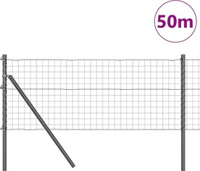 Euro plotové kotvení 50 x 0,6 m Ocel potažená PVC Šedá Síťovina 3350427