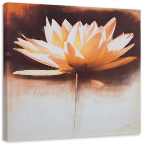 Gario Obraz na plátně Vodní lilie květina Rozměry: 30 x 30 cm