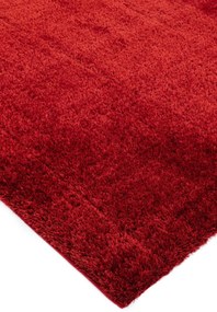Červený koberec Trebbia Red Rozměry: 80x150 cm