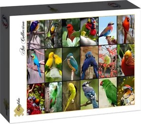 GRAFIKA Puzzle Nejkrásnější ptáci světa / 1500 dílků / 85 × 61 cm