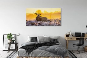 akrylový obraz Jelen zimní slunce 140x70 cm